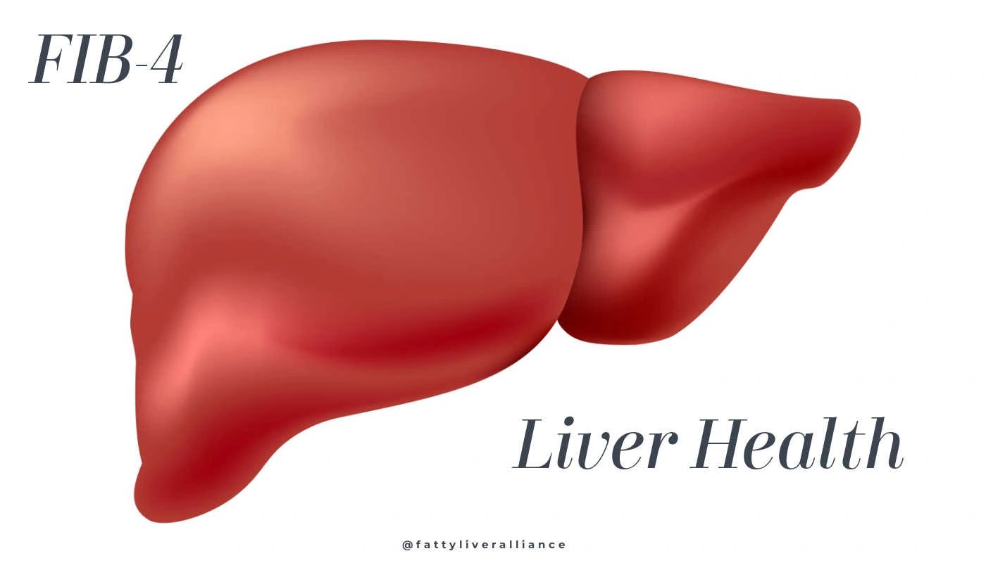 Fatty Liver Disease and FIB-4